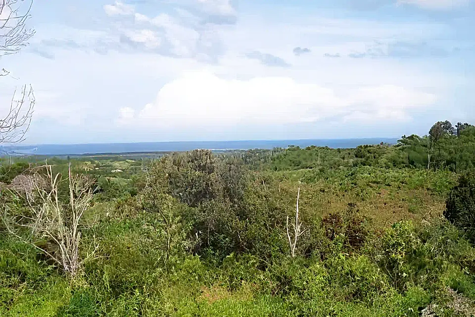 Dominican Republic Farms and Land for Sale: List and Find the Best Farm ...