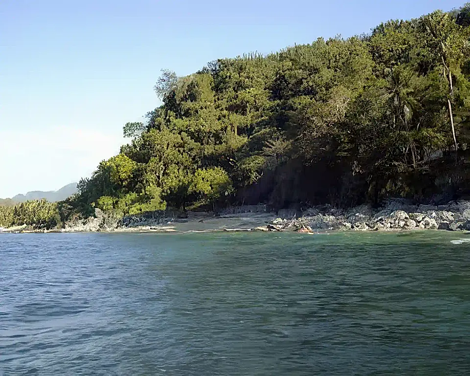 Philippines Farms and Land for Sale: List and Find the Best Farm and ...