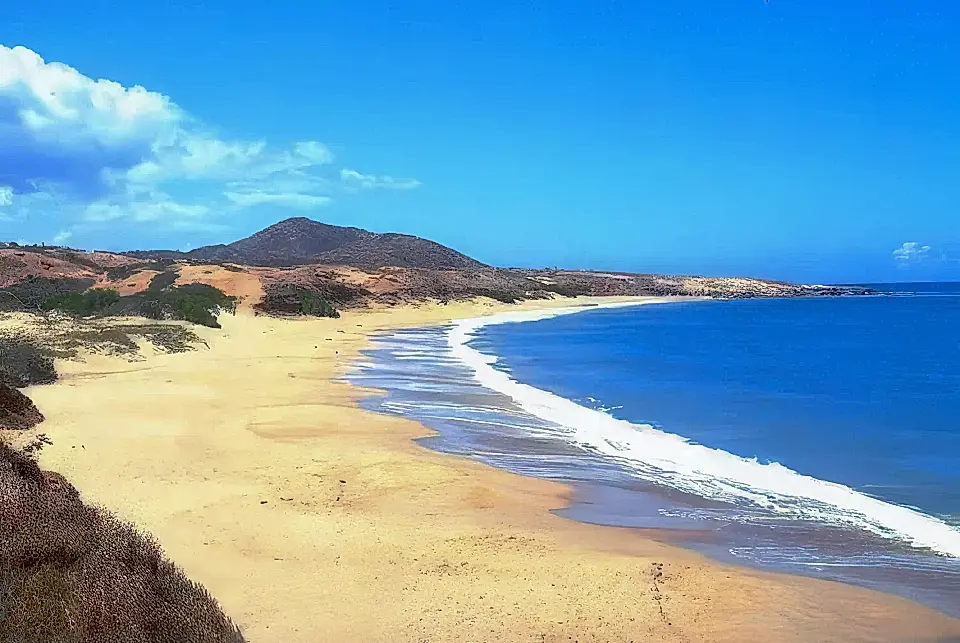 Venezuela Waterfront Farms and Land for Sale: List and Find the Best ...