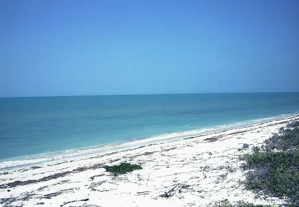 Mexico Farms and Land for Sale: List and Find the Best Farm and Land ...