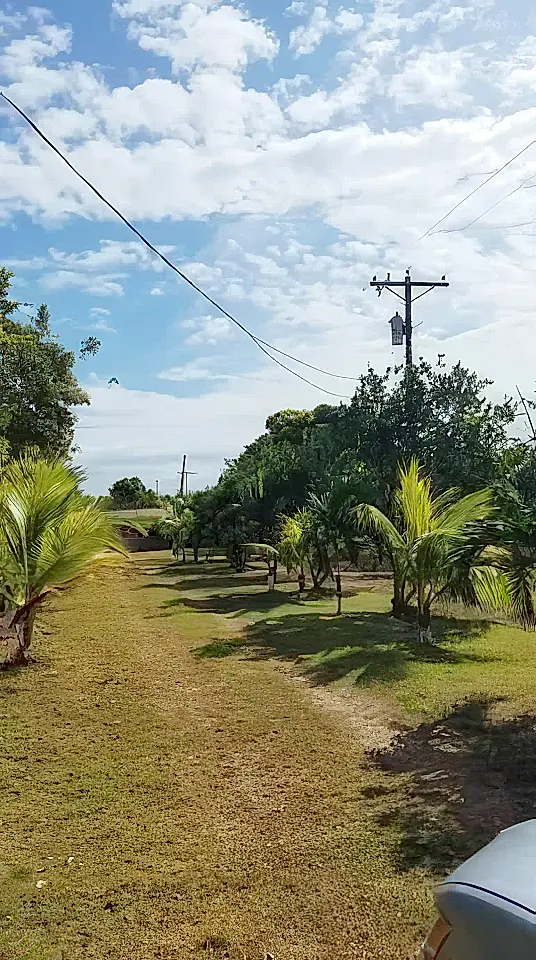 Panama Farms and Land for Sale: List and Find the Best Farm and Land ...