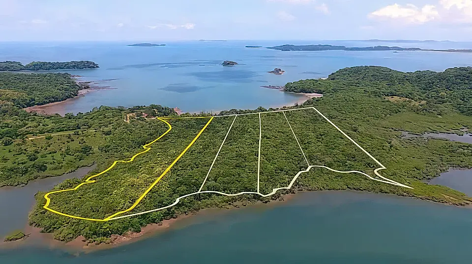 Panama Farms and Land for Sale: List and Find the Best Farm and Land ...