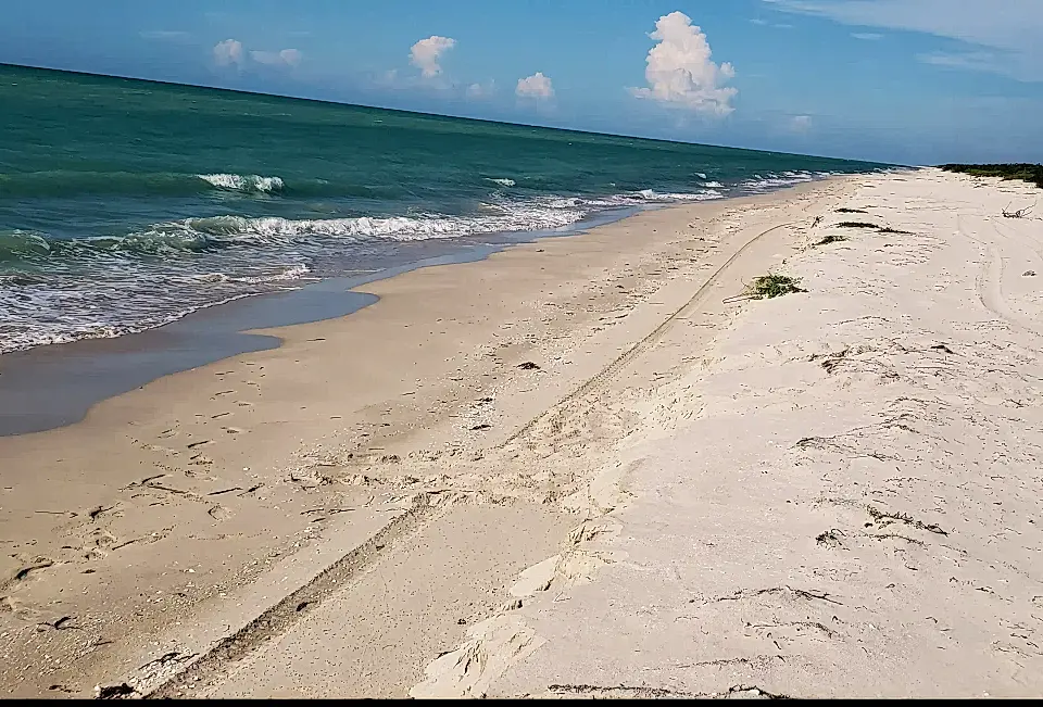 Mexico Farms and Land for Sale: List and Find the Best Farm and Land ...