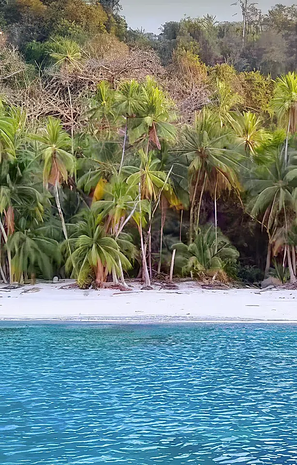 Panama Farms and Land for Sale: List and Find the Best Farm and Land ...