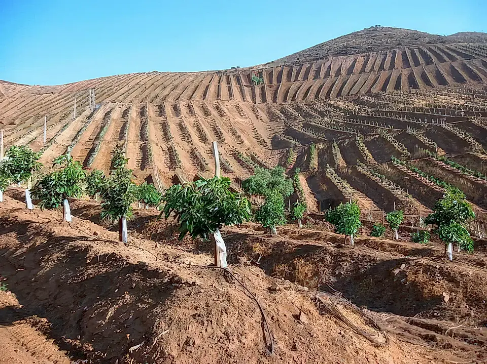 Chile Farms and Land for Sale: List and Find the Best Farm and Land ...