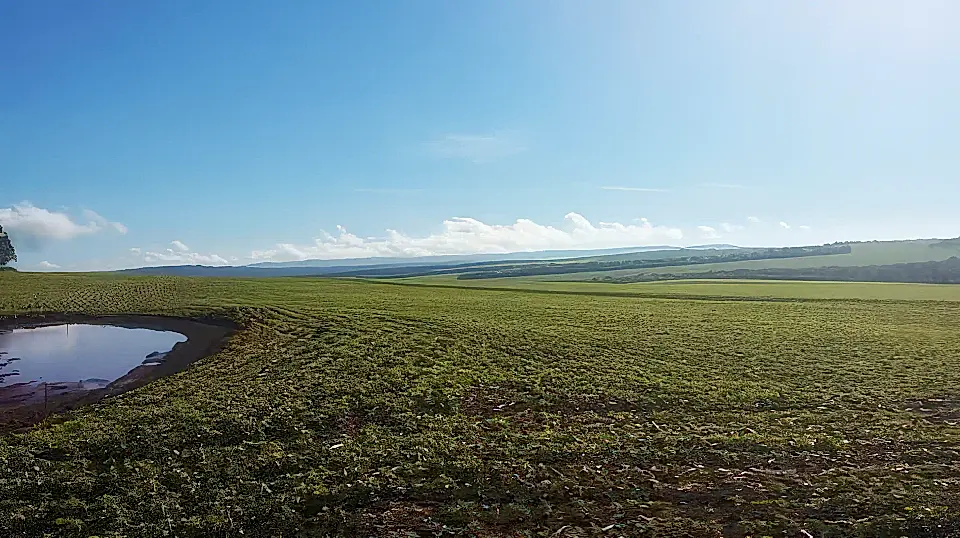 Paraguay Farms and Ranches for Sale: List and Find the Best Farm and ...