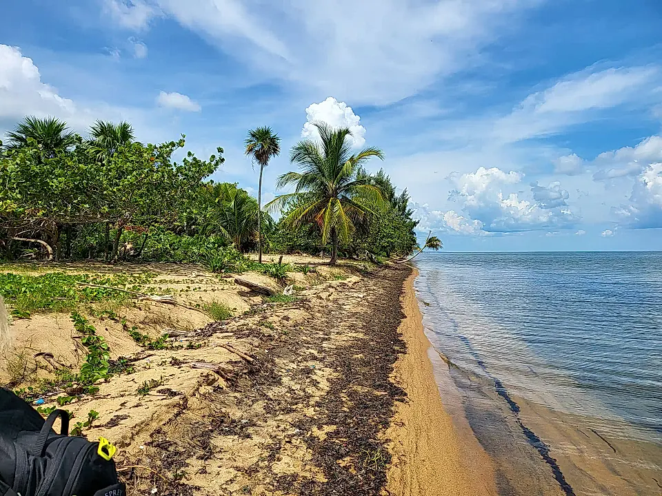 Belize Lots and Land for Sale: List and Find the Best Lot and Land ...