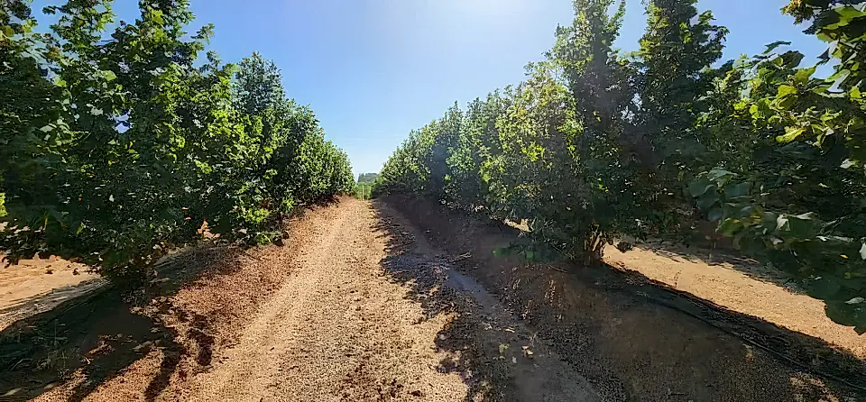 Chile Farms and Land for Sale: List and Find the Best Farm and Land ...