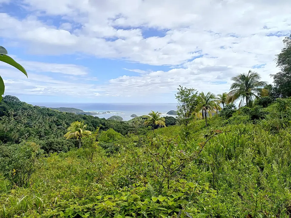 St. Lucia Affordable Ocean View Lots and Land for Sale: List and Find ...