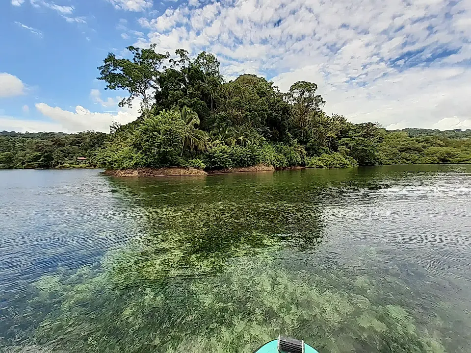 Panama Farms and Land for Sale: List and Find the Best Farm and Land ...