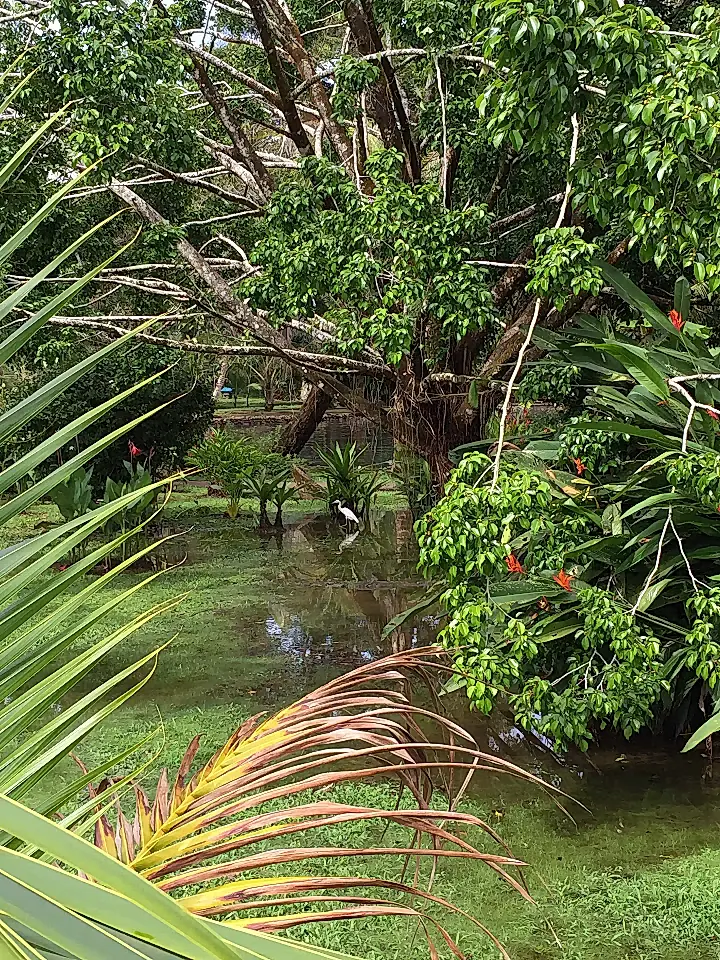 Panama Farms and Land for Sale: List and Find the Best Farm and Land ...