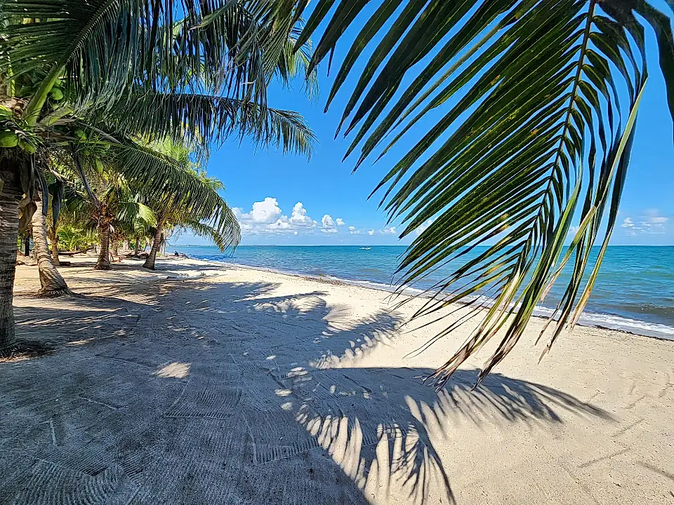 Caribbean Waterfront Properties for Sale: List and Find the Best ...