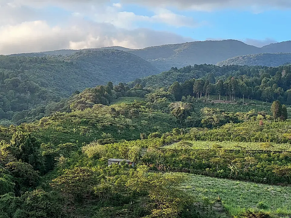 Central America Farms and Ranches for Sale: List and Find the Best Farm ...