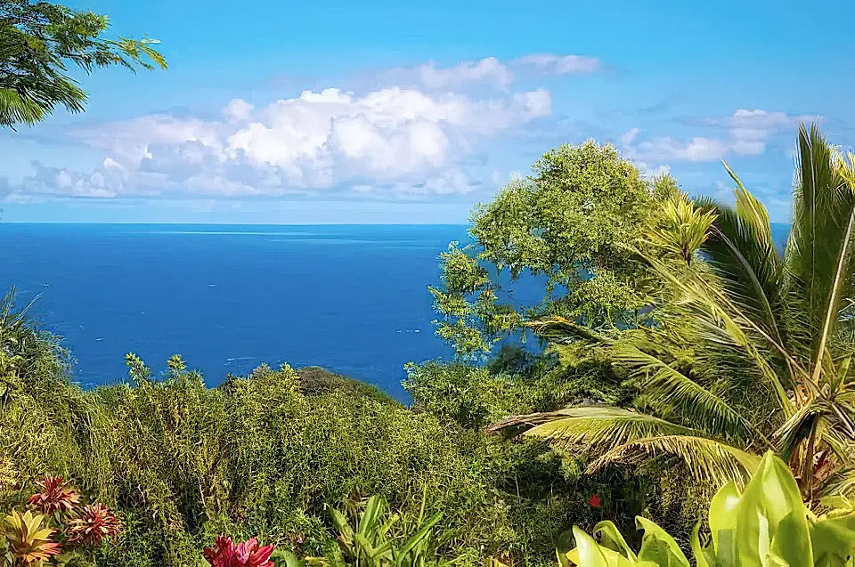 Ecuador Farms and Land for Sale: List and Find the Best Farm and Land ...