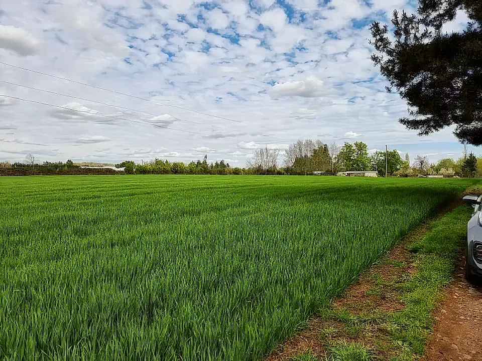 South America Farms and Ranches for Sale: List and Find the Best Farm ...