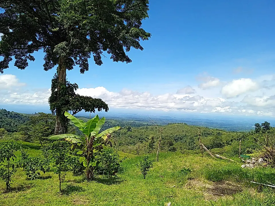 Panama Farms and Ranches for Sale: List and Find the Best Farm and ...