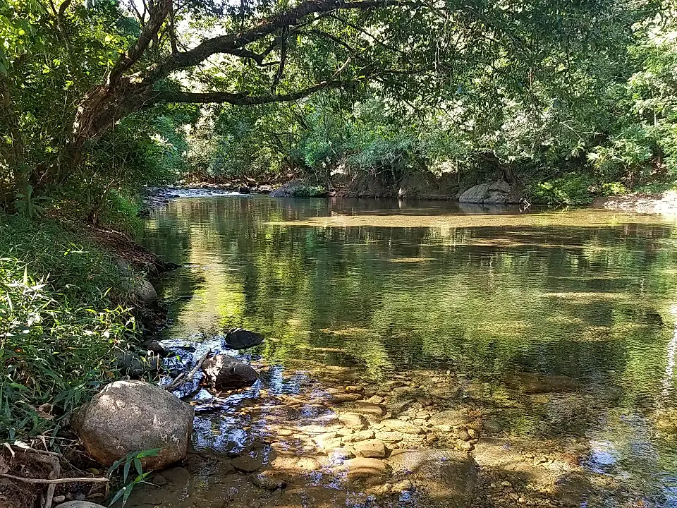 Panama Farms and Land for Sale: List and Find the Best Farm and Land ...