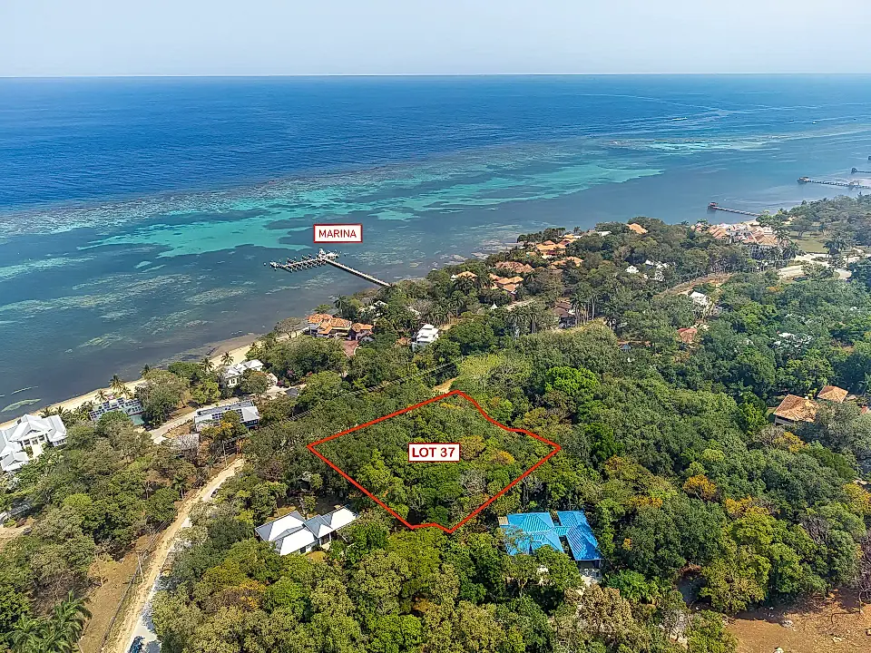 Caribbean Affordable Properties for Sale: List and Find the Best ...