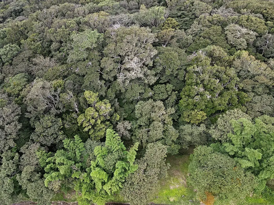 Boquete Lots and Land for Sale: List and Find the Best Lot and Land ...