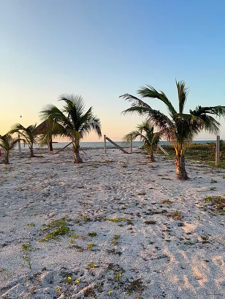 Mexico Farms and Land for Sale: List and Find the Best Farm and Land ...