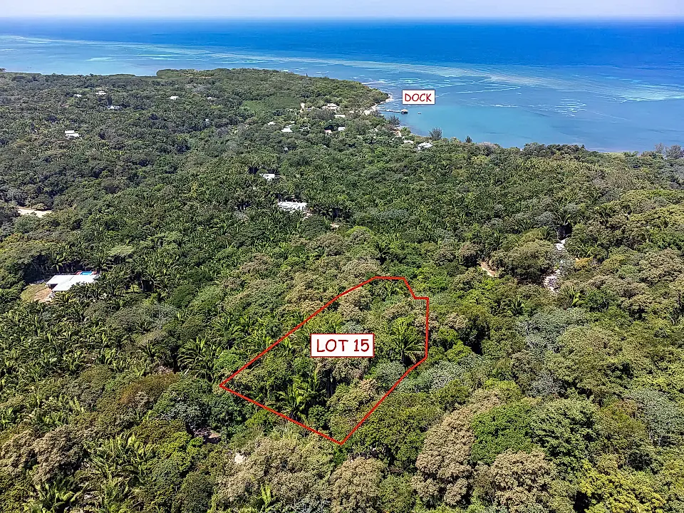 Caribbean Lots and Land for Sale: List and Find the Best Lot and Land ...