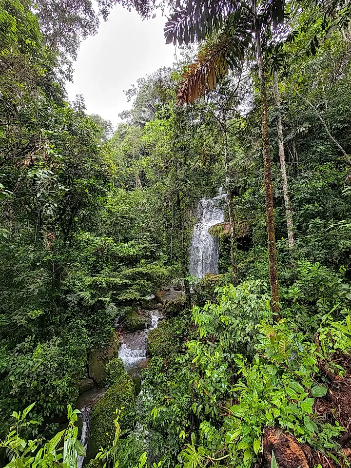 Colombia Farms and Land for Sale: List and Find the Best Farm and Land ...