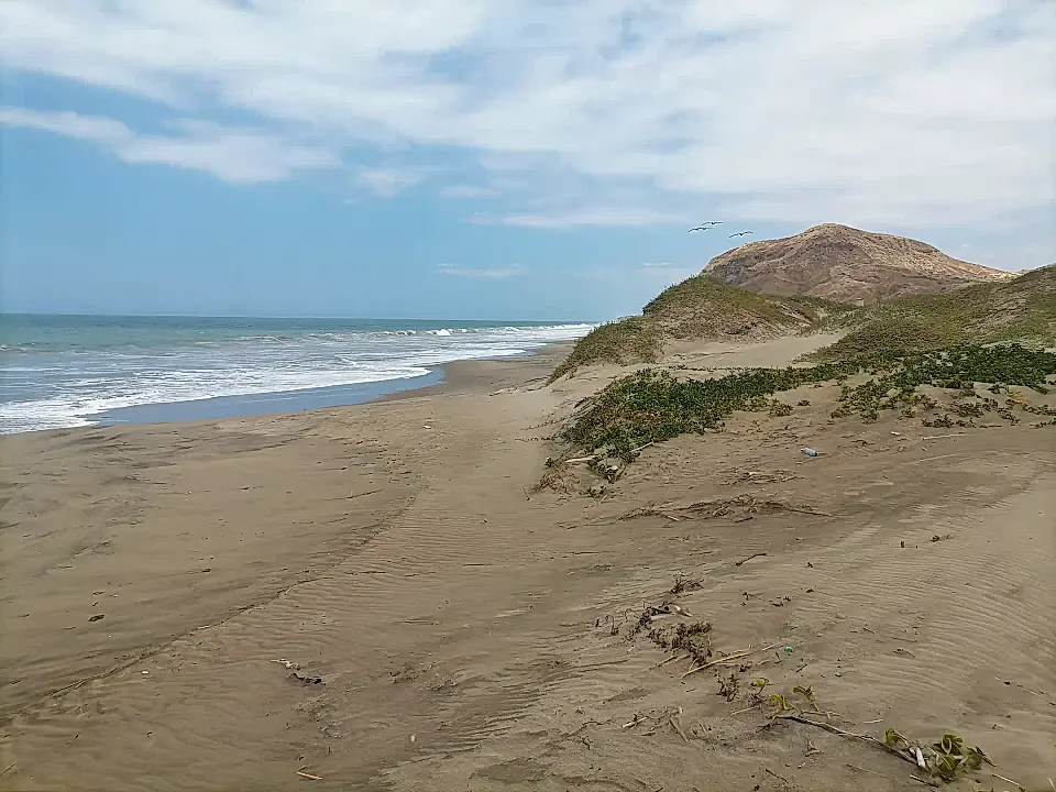 Oceanfront Lots and Land for Sale: List and Find the Best Oceanfront ...