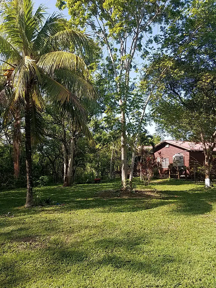 Belize Real Estate: Properties for Sale in Belize