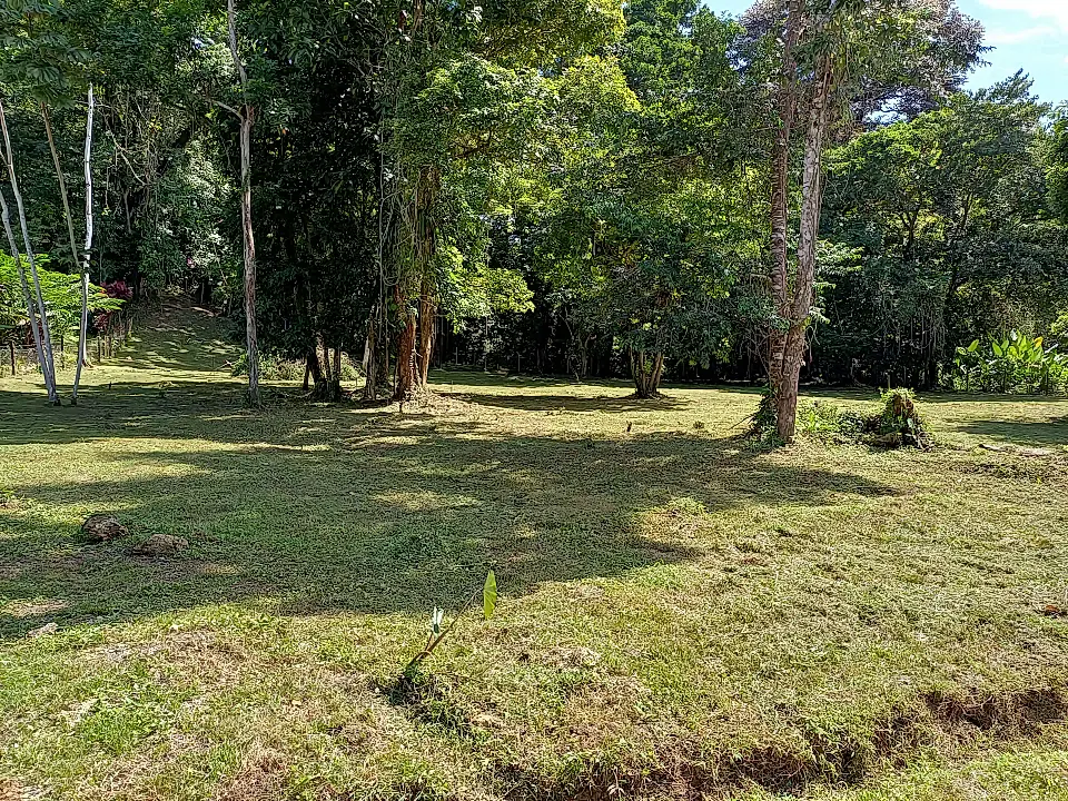 Panama Farms and Land for Sale: List and Find the Best Farm and Land ...