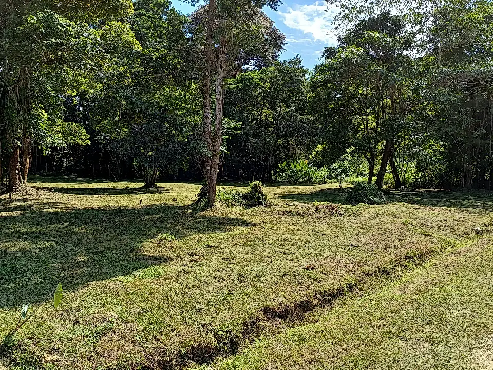 Panama Farms and Land for Sale: List and Find the Best Farm and Land ...
