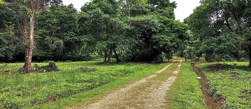 Panama Farms and Land for Sale: List and Find the Best Farm and Land ...