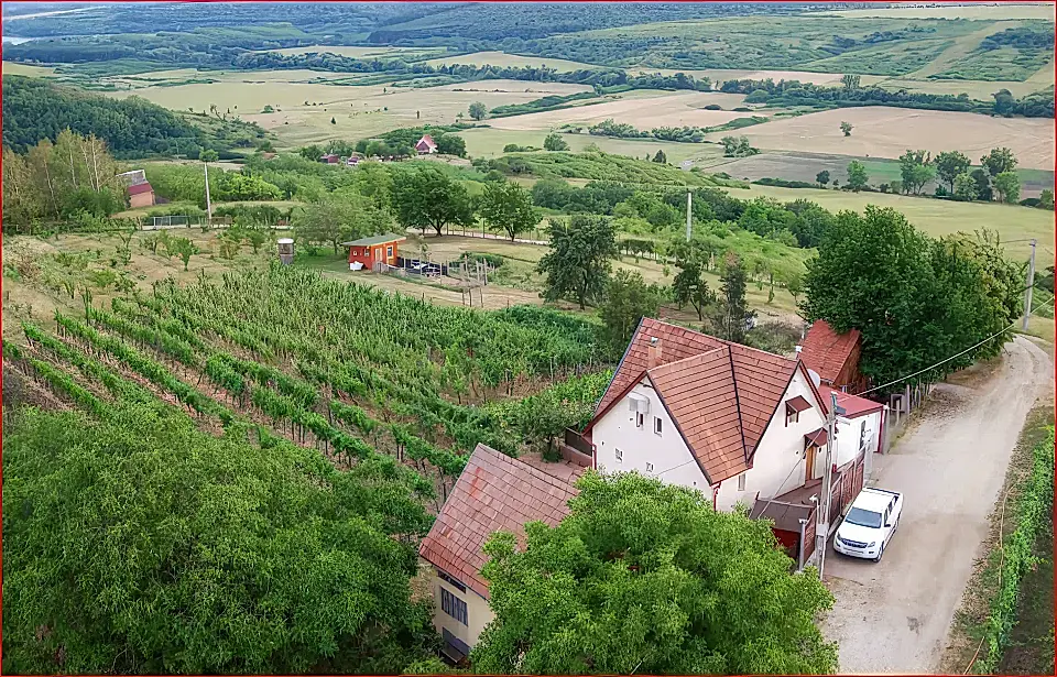 European Farms and Land for Sale: List and Find the Best Farm and Land ...