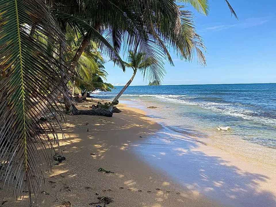 Oceanfront Lots and Land for Sale: List and Find the Best Oceanfront ...