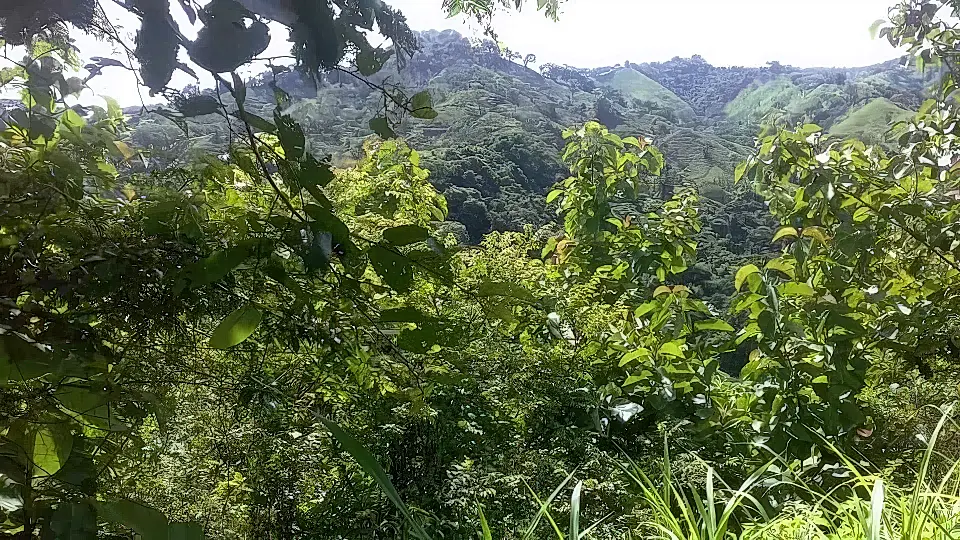 Farms and Ranches for Sale: List and Find the Best Farms and Ranches in ...