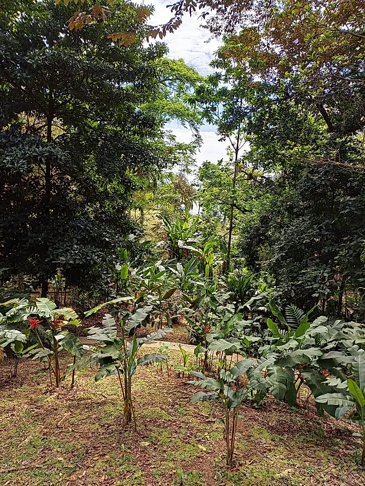 Panama Farms and Land for Sale: List and Find the Best Farm and Land ...