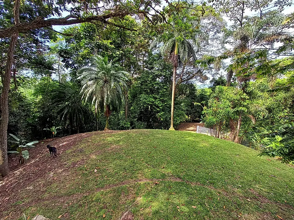 Panama Farms and Land for Sale: List and Find the Best Farm and Land ...