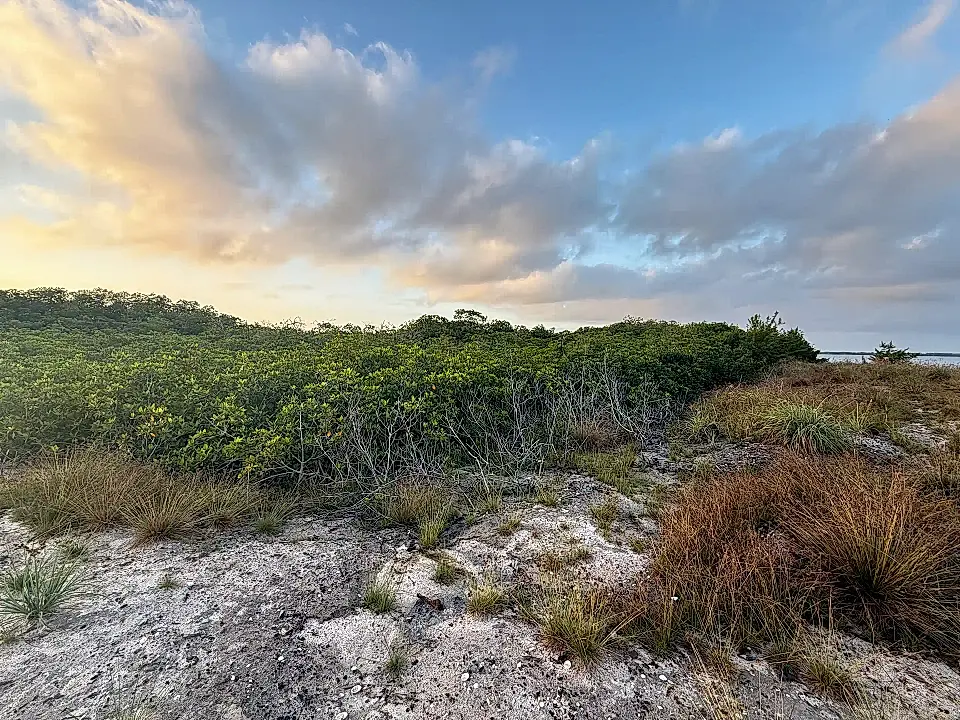 Caribbean Affordable Properties for Sale: List and Find the Best ...