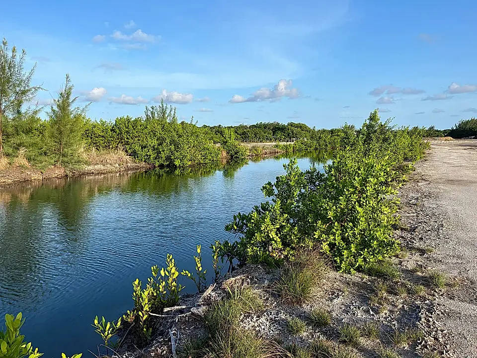 Caribbean Affordable Properties for Sale: List and Find the Best ...