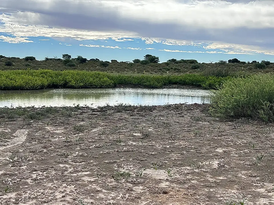 Africa Farms and Ranches for Sale: List and Find the Best Farm and ...