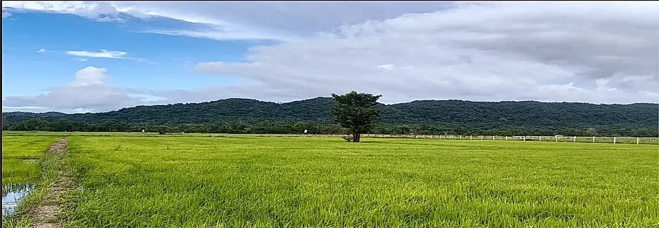 Philippines Farms and Land for Sale: List and Find the Best Farm and Land Properties in the ...