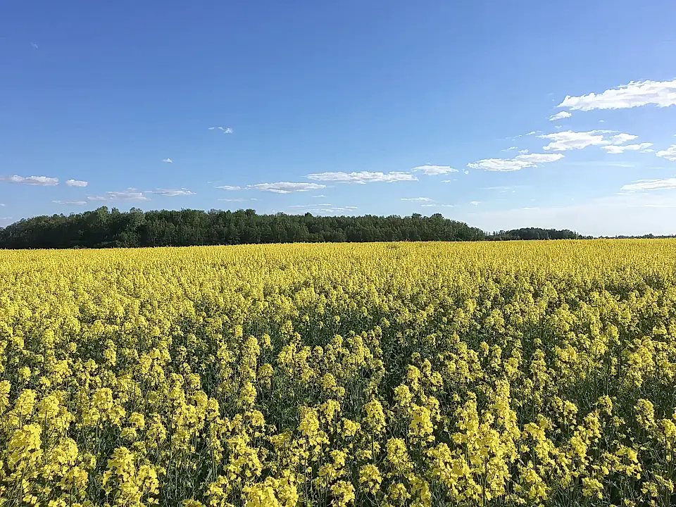 European Farms and Ranches for Sale: List and Find the Best Farm and ...