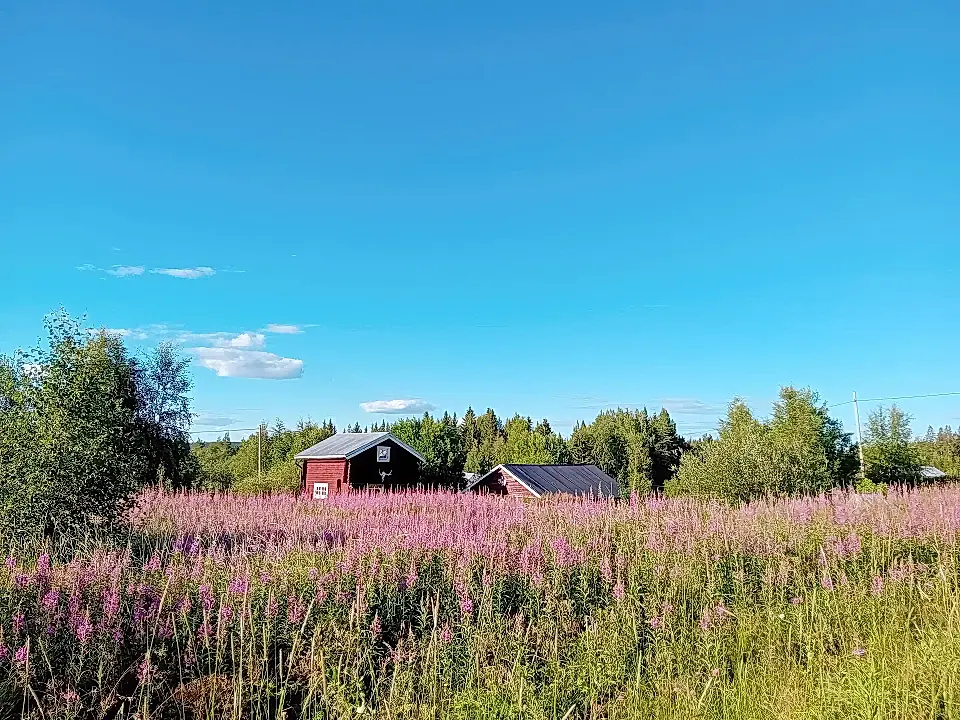 European Water View Farms and Ranches for Sale: List and Find the Best ...