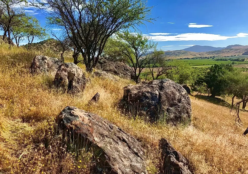 Chile Farms and Land for Sale: List and Find the Best Farm and Land ...