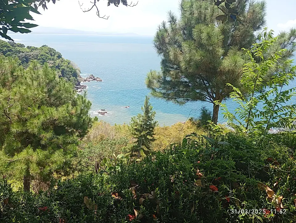 Panama Farms and Land for Sale: List and Find the Best Farm and Land ...