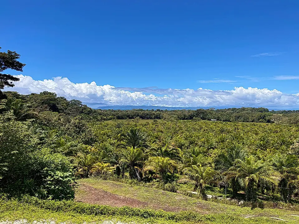 Costa Rica Farms and Land for Sale: List and Find the Best Farm and ...