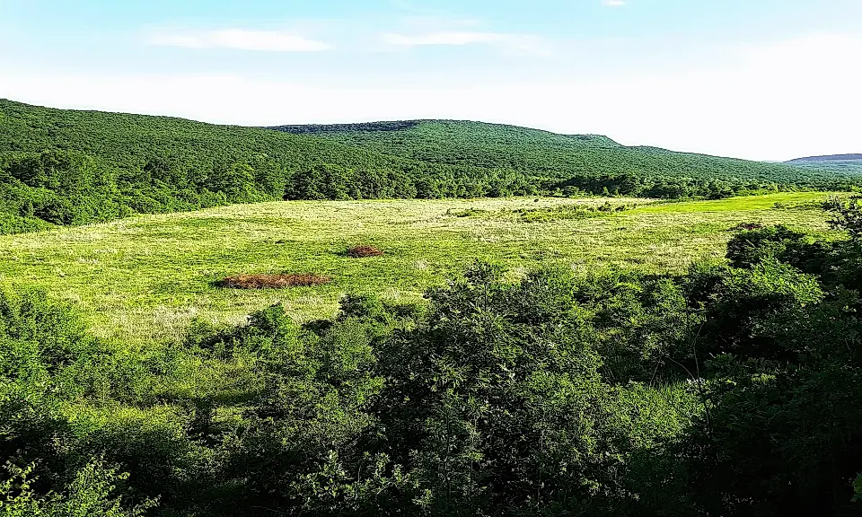 European Affordable Farms and Land for Sale: List and Find the Best Low ...