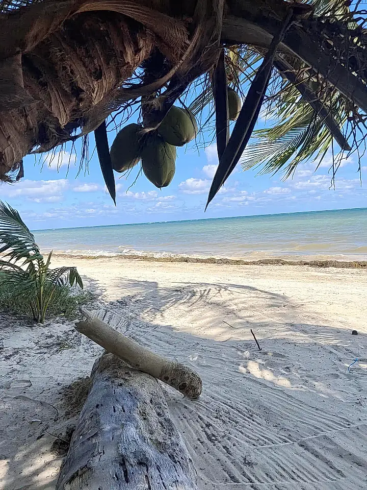 Mexico Houses for Sale: List and Find the Best House Properties in Mexico