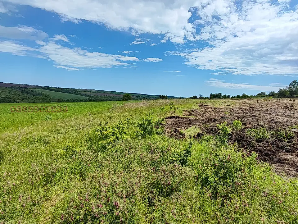 European Farms and Land for Sale: List and Find the Best Farm and Land ...