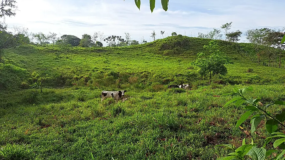 Panama Farms and Land for Sale: List and Find the Best Farm and Land ...